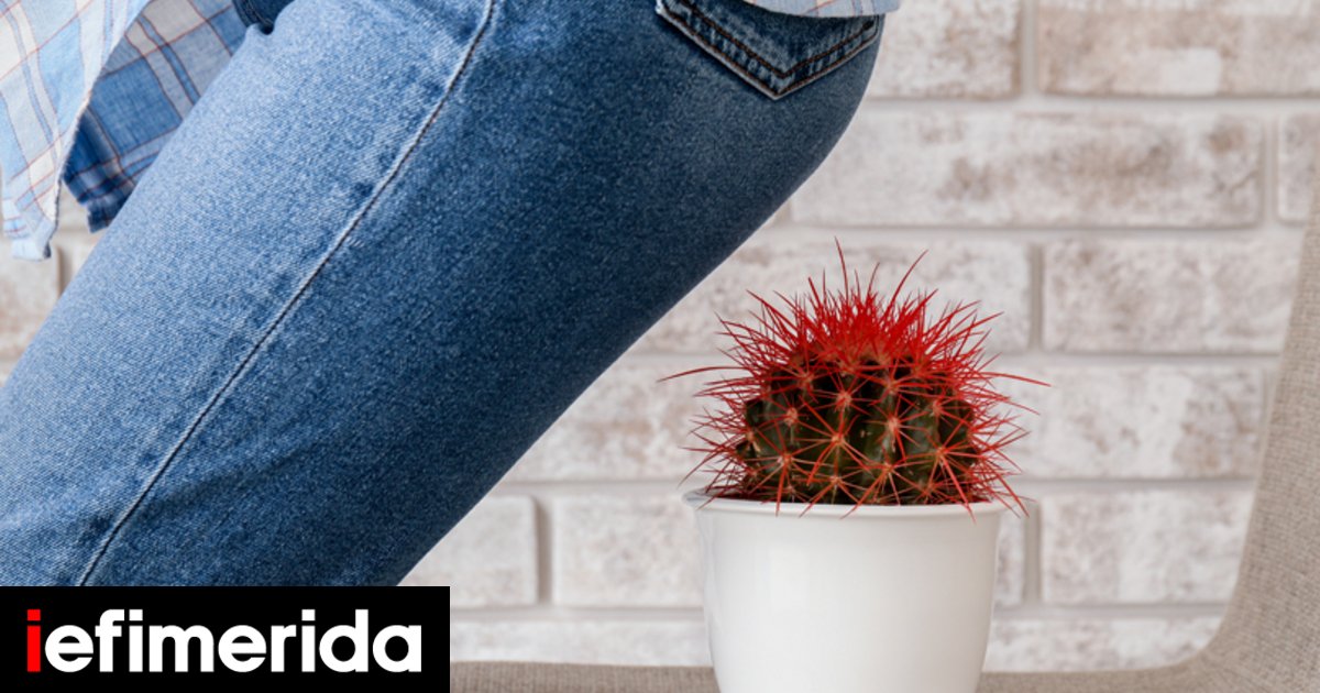 Μύθοι και αλήθειες για την αιμορροϊδική νόσο - iefimerida.gr