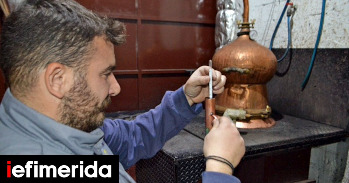 Το iefimerida σε «καζάνι» στη Γουμένισσα -Βήμα-βήμα η απόσταξη τσίπουρου [εικόνες] - iefimerida.gr