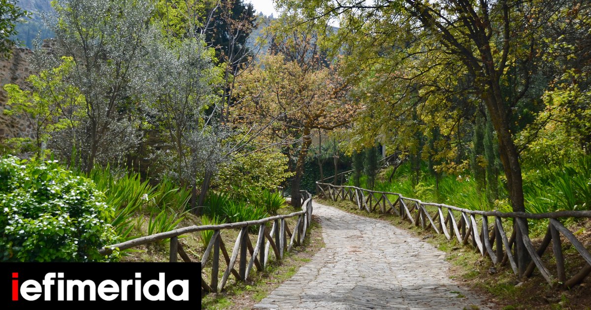 Περίπατος στο δάσος της Καισαριανής: Το βοτανικό μονοπάτι, το μοναστήρι ...