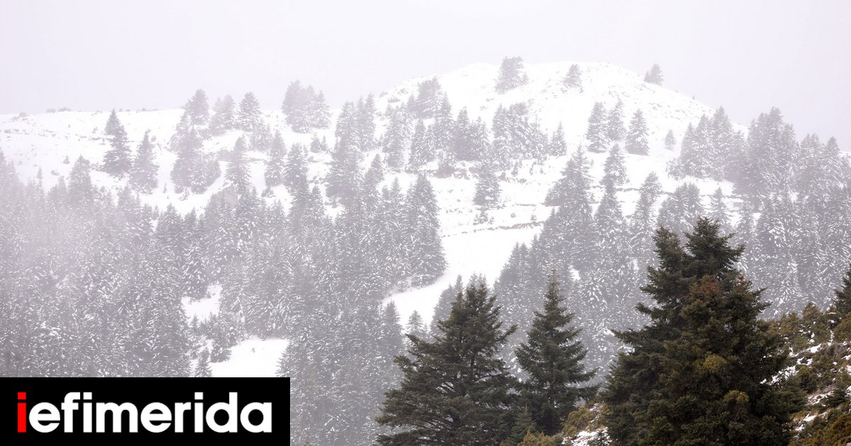 Μοναδικές εικόνες από Αρκαδία: Το όρος Μαίναλο ντύθηκε στα λευκά -Δείτε ...