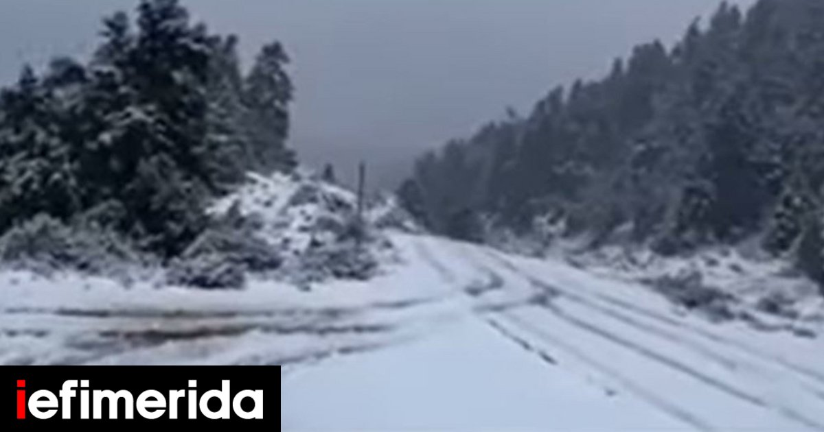 Επεσαν τα πρώτα χιόνια στην Εύβοια: Χιόνισε σε περιοχές της Κύμης ...