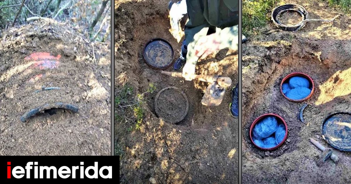 Λάρισα: Αστυνομικοί ξέθαψαν βαρέλια με 71 κιλά κάνναβης [βίντεο ...