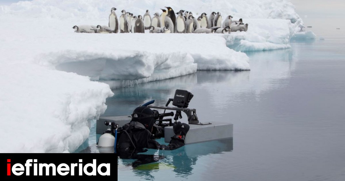 Frozen Planet II: Η συναρπαστική σειρά ντοκιμαντέρ του BBC έρχεται στον ...