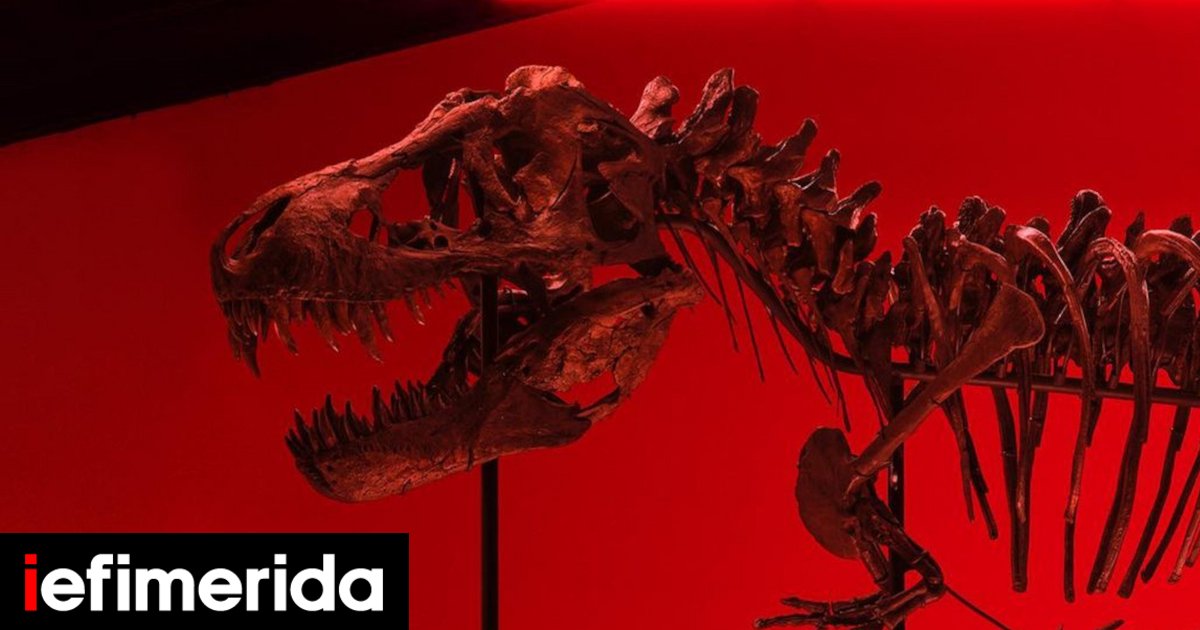 Σκελετός τυραννόσαυρου T-Rex πωλήθηκε αντί 5,6 εκατ. ευρώ σε δημοπρασία ...