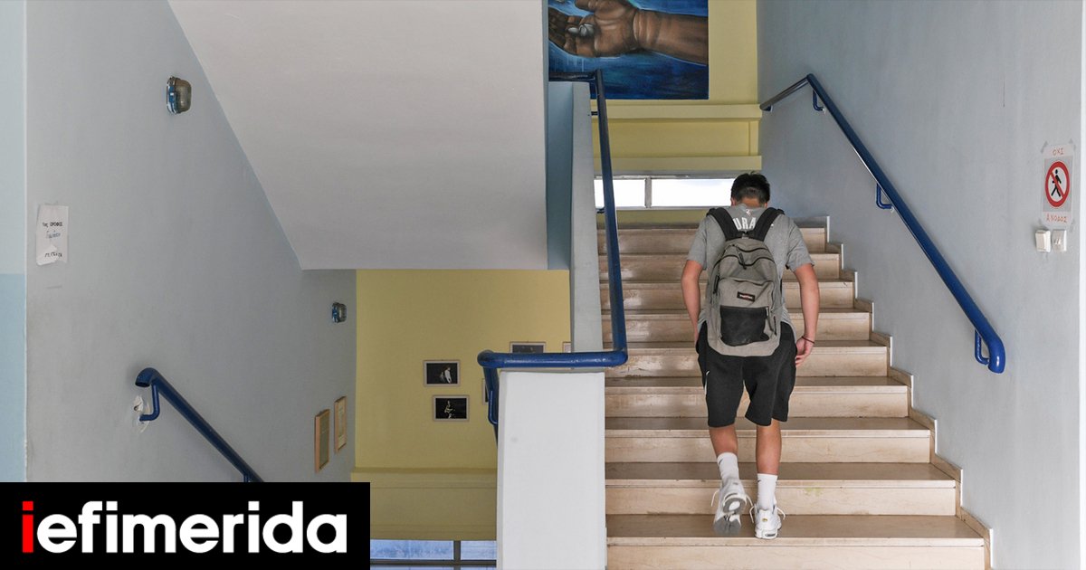 Σοκ στη Χαλκίδα: Πυροβόλησαν με αεροβόλο 43χρονη καθηγήτρια γυμνασίου ...