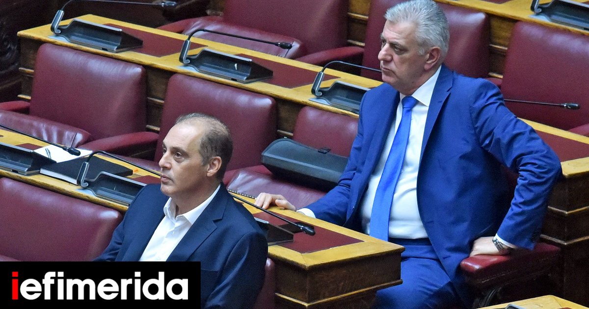 Σε κρίση η Ελληνική Λύση: Ο Μυλωνάκης απαντάει στον Βελόπουλο -Δεν ...