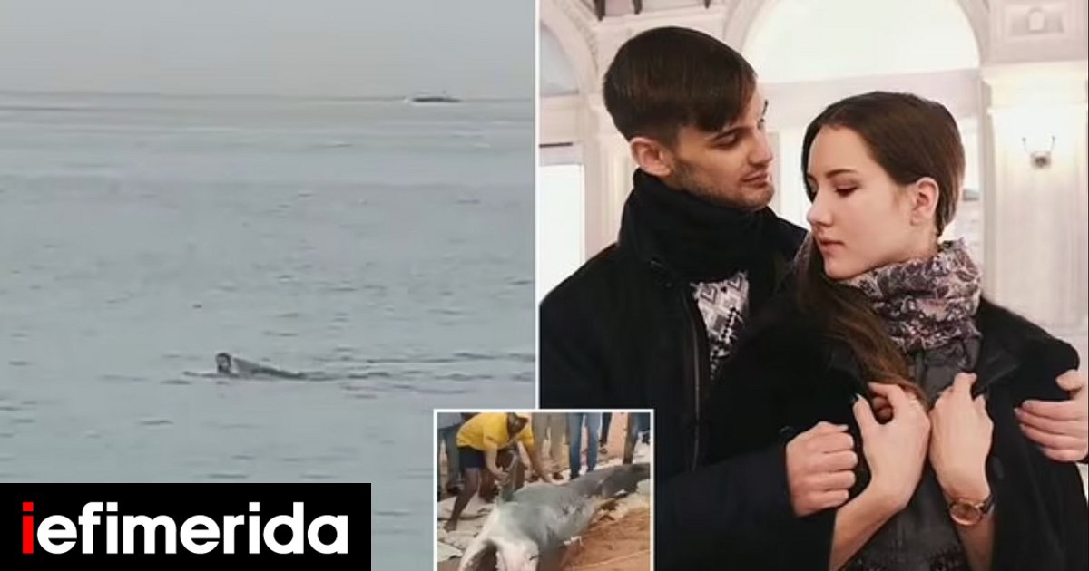 Σοκ από τη φονική επίθεση καρχαρία στην Αίγυπτο-Lockdown στις παραλίες ...