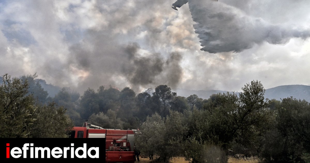 Κρήτη: Κώδωνα κινδύνου κρούει η Πυροσβεστική για την αποφυγή πυρκαγιών ...