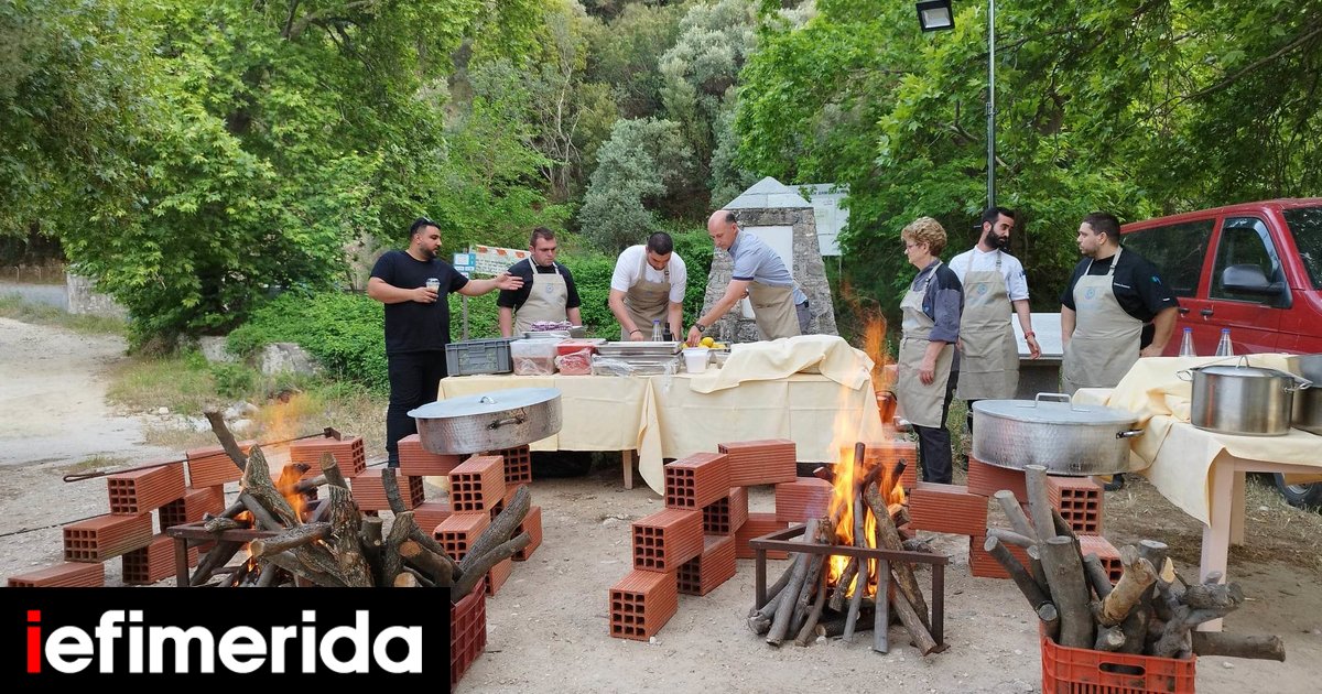 Είκοσι σεφ στην οριογραμμή του Αγίου Όρους τίμησαν τις συνταγές του ...