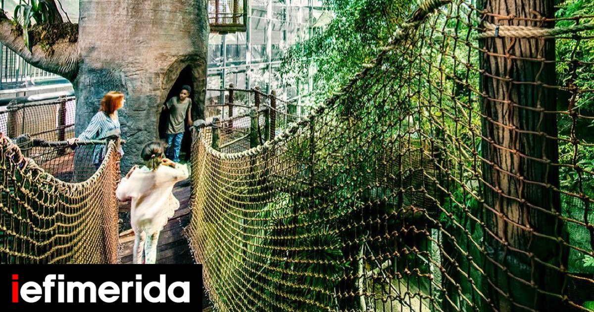 Universeum στη Σουηδία: Το μοναδικό πάρκο εξερεύνησης του κόσμου ...