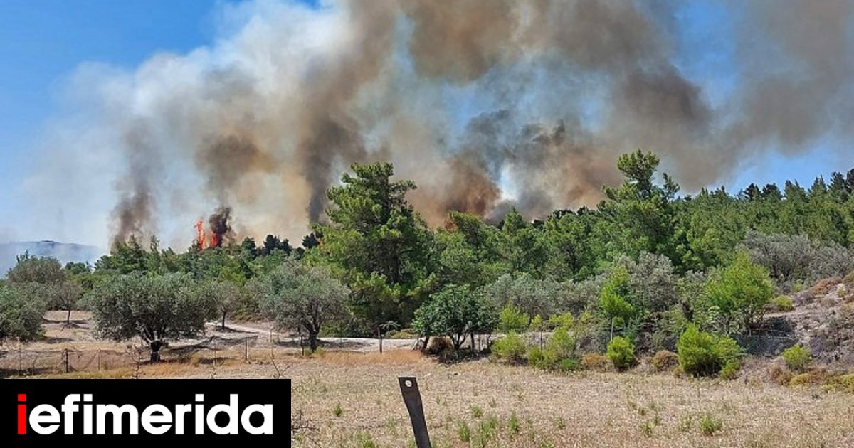 Ανεξέλεγκτη η φωτιά στη Ρόδο -Καίει σε 4 μέτωπα, εκκενώθηκε ο ...