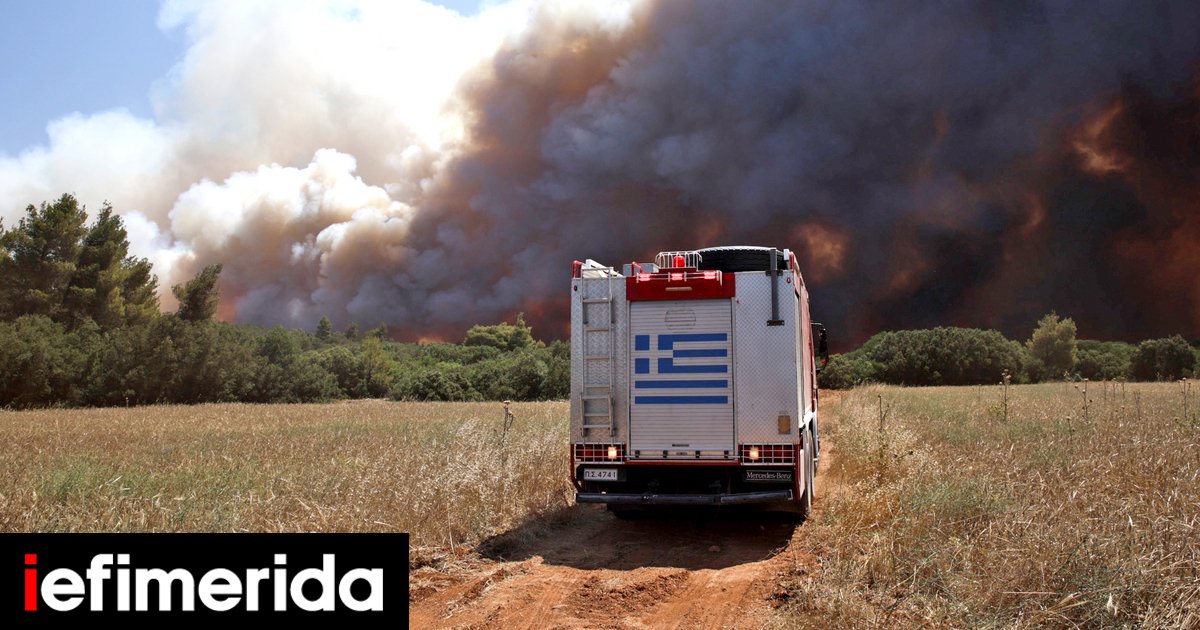 Μεγάλη αναζωπύρωση στα Μέγαρα, απειλούνται σπίτια -Στη μάχη πυροσβέστες ...