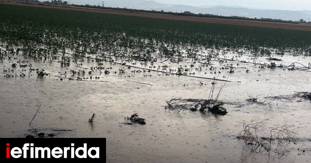 Καρδίτσα: Μεγάλες καταστροφές σε καλλιέργειες από χαλαζόπτωση ...