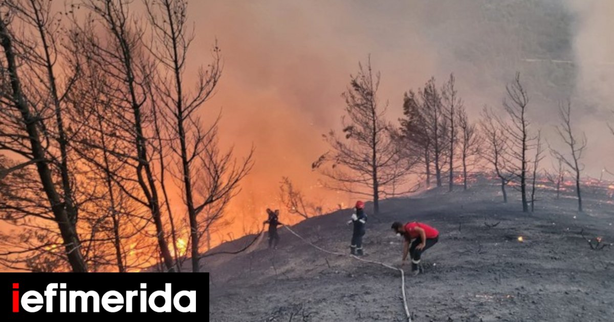 Ρόδος: Ολονύχτια μάχη με τη φωτιά, καίει πυκνό δάσος - iefimerida.gr