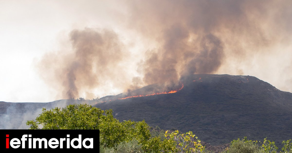 Φωτιά στη Ρόδο: Συνεχίζεται η μάχη με τις αναζωπυρώσεις στα νότια του ...