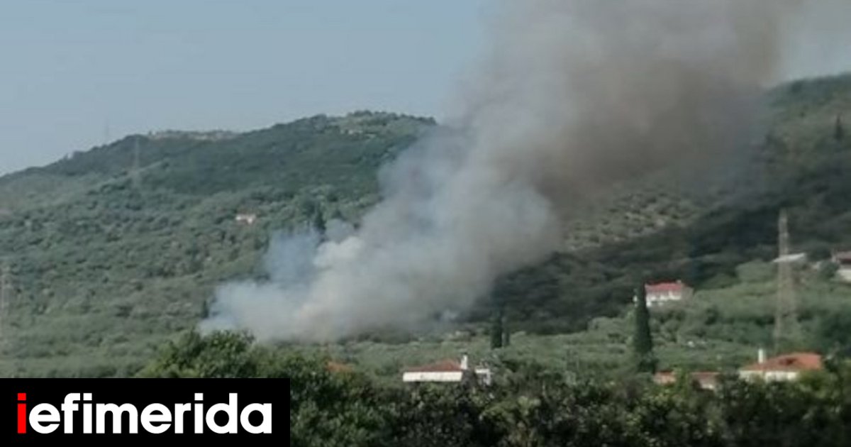 Φωτιά στη Βλαχέρνα Άρτας -Επιχειρούν εναέρια μέσα [εικόνα] - iefimerida.gr