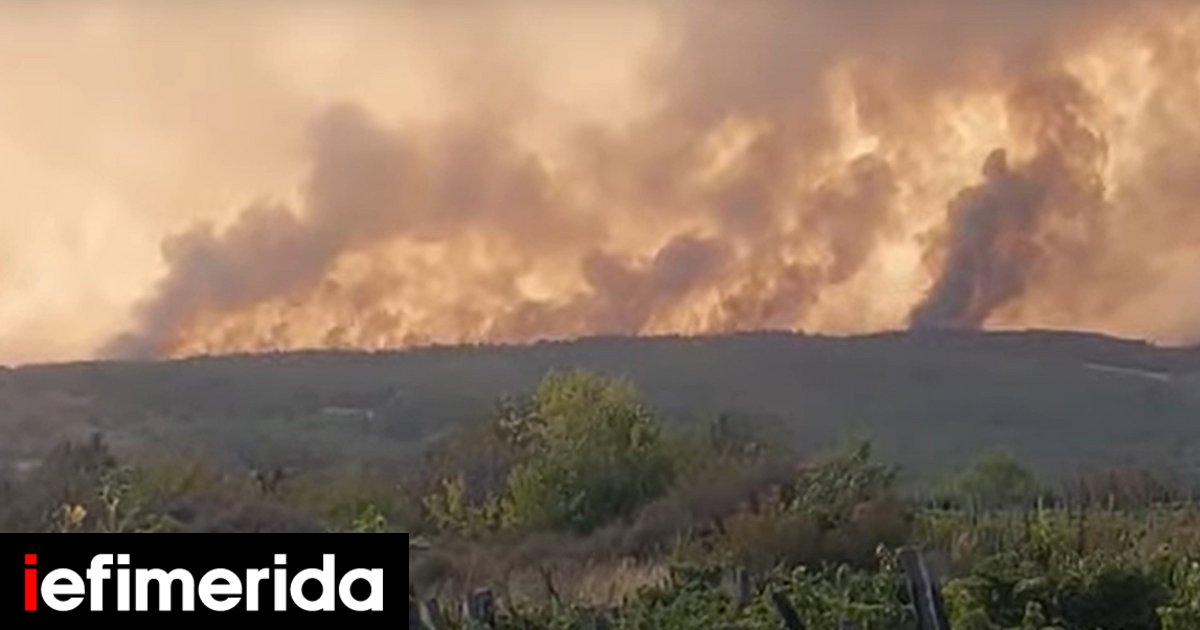 Φωτιά στον Έβρο: Νέο μήνυμα του 112 στο Σουφλί -«Παραμείνετε σε ...