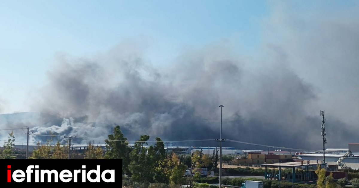 Μεγάλη φωτιά στον Ασπρόπυργο: Τέσσερις οι εστίες -Εκκενώνεται η Λάκκα Κατσαρή - iefimerida.gr