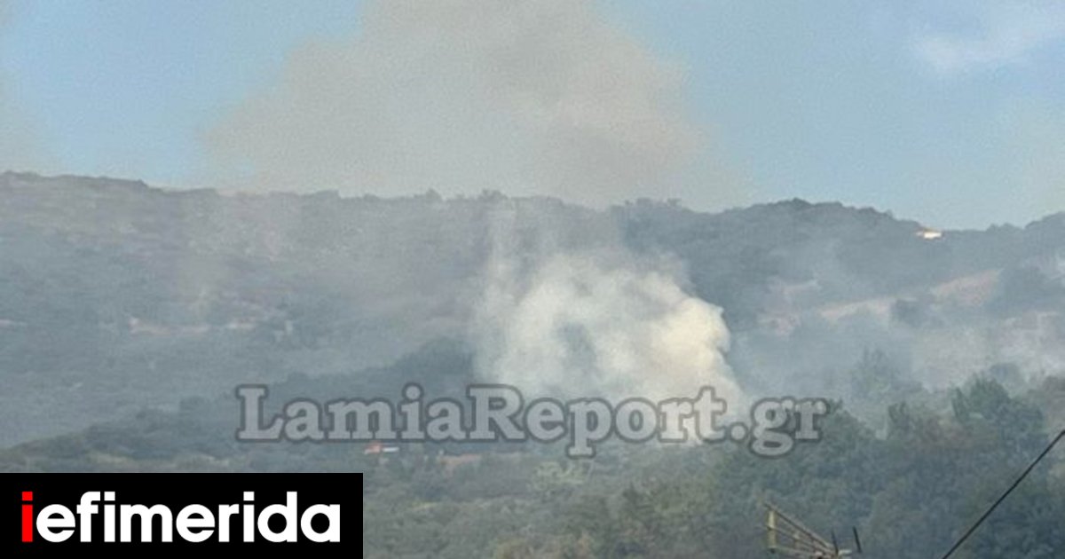 Υπό έλεγχο η φωτιά στη Βίτωλη Μακρακώμης: Καθοριστική η ξαφνική ...
