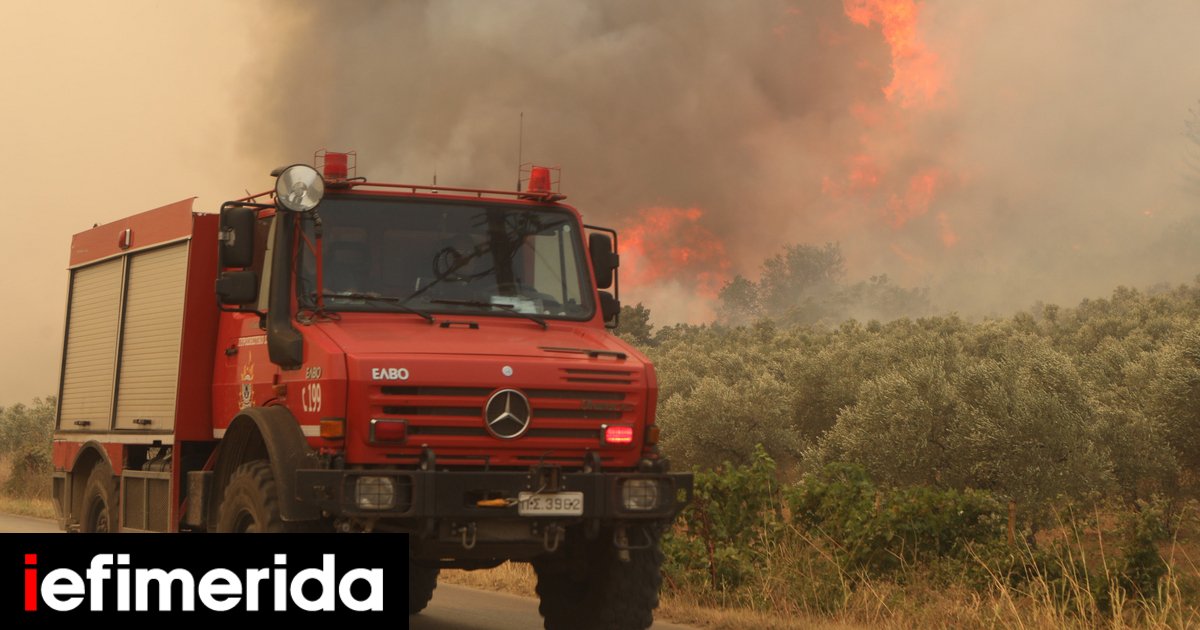Μάχη με τις αναζωπυρώσεις σε Έβρο και Ροδόπη -Η Πυροσβεστική ...