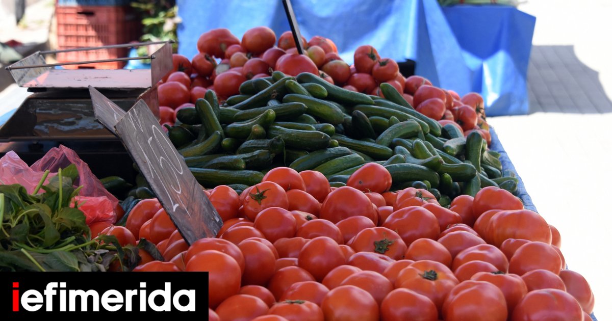 Θεσσαλονίκη: «Πράσινο φως» για τη λειτουργία της πρώτης απογευματινής ...