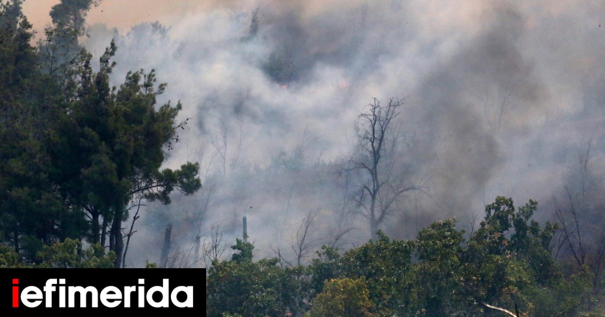 Εβρος: Επιπλέον ενίσχυση εναέριων και επίγειων μέσων κατάσβεσης ζητά η ...