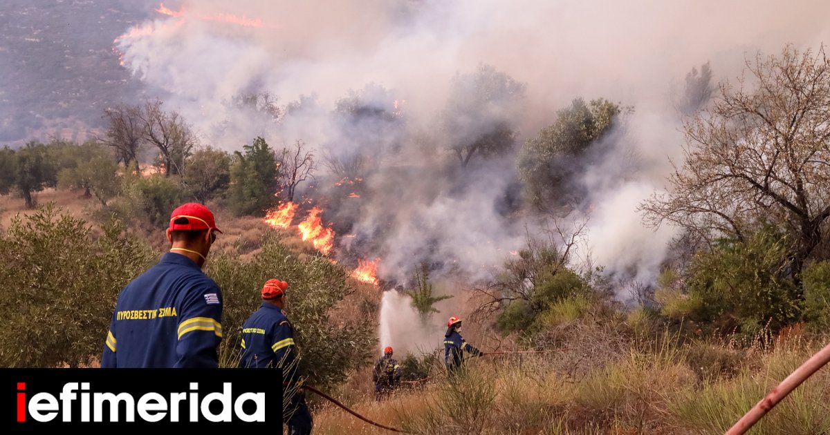 Καιρός: Υποχωρούν σταδιακά οι ισχυροί άνεμοι, παραμένει η ζέστη -Πολύ ...