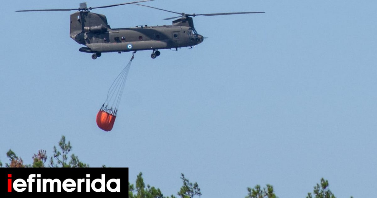 Φωτιές σε Έβρο και Ροδόπη: Ενισχύθηκαν οι δυνάμεις, μικροεστίες σε ...