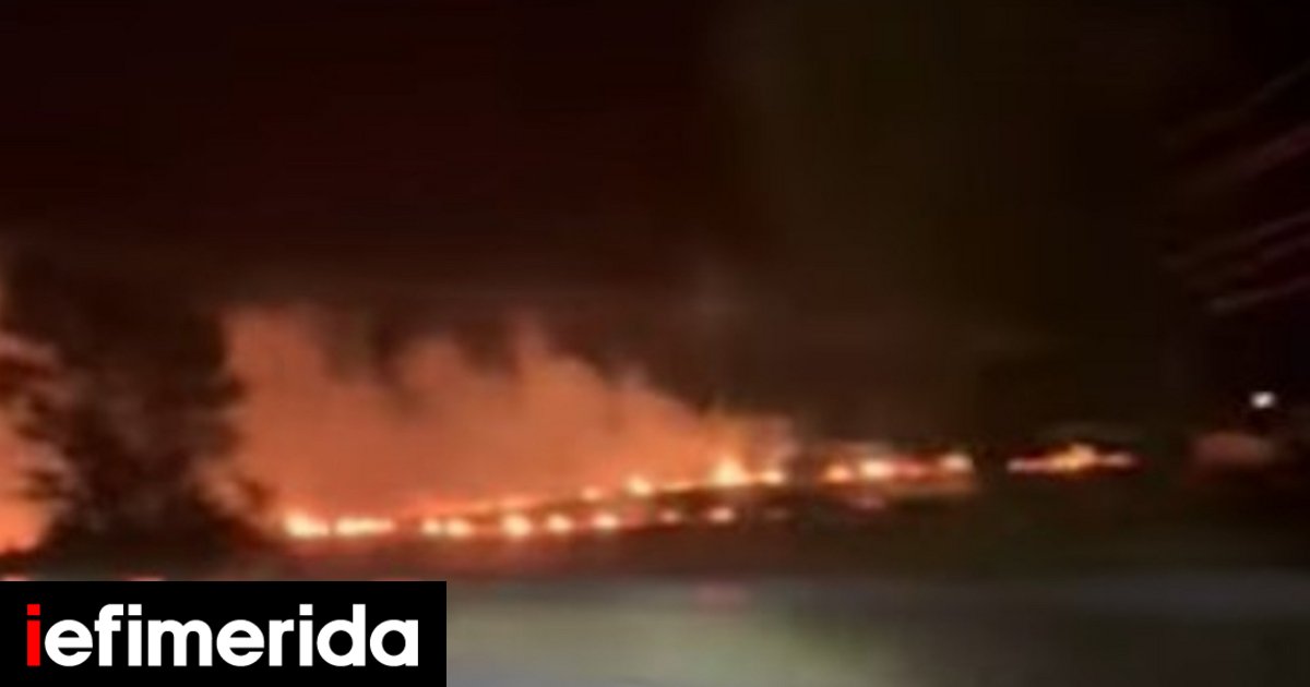 Ξάνθη: Φωτιά κοντά στην Εγνατία Οδό -Επιχειρούν επί τόπου πυροσβέστες ...