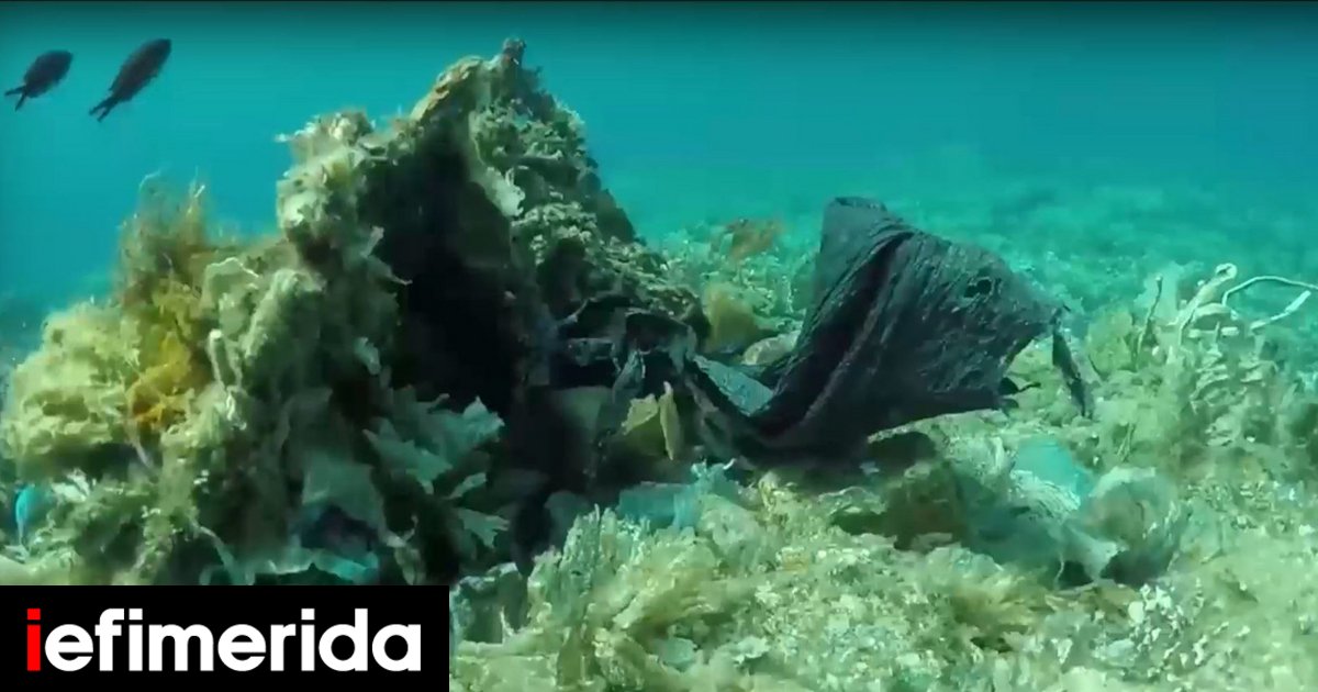 Άνδρος: Ο βυθός έχει μετατραπεί σε χωματερή -Έχει έκταση 160 στρέμματα [βίντεο] - iefimerida.gr