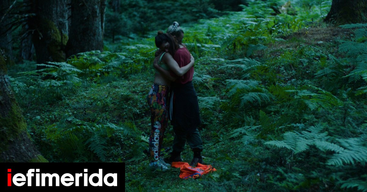 «Αρκουδότρυπα»: Η ταινία που σάρωσε στο 46ο Φεστιβάλ Δράμας -Ολα τα βραβεία, πώς βλέπουμε τα ...