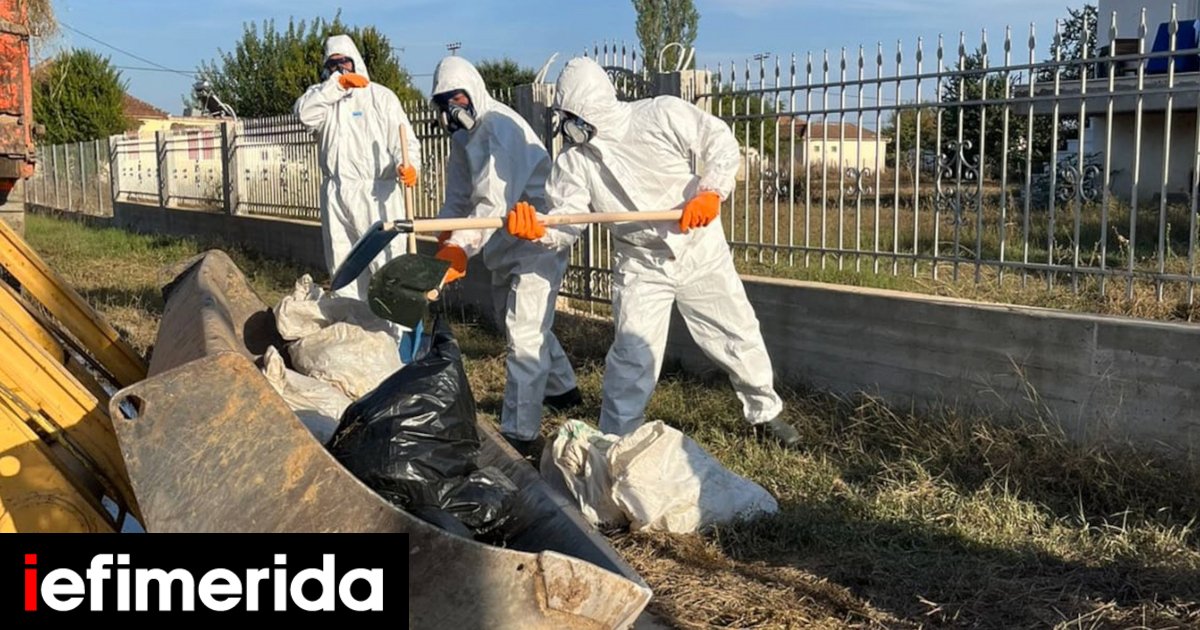 ΓΕΕΘΑ: Οι ‘Ενοπλες Δυνάμεις συνδράμουν και στην περισυλλογή νεκρών ζώων ...