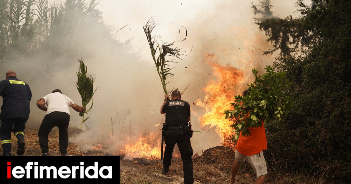 Φωτιά στη Σταμάτα: Εξετάζεται και δεύτερος ύποπτος, πιθανή η σύλληψή ...