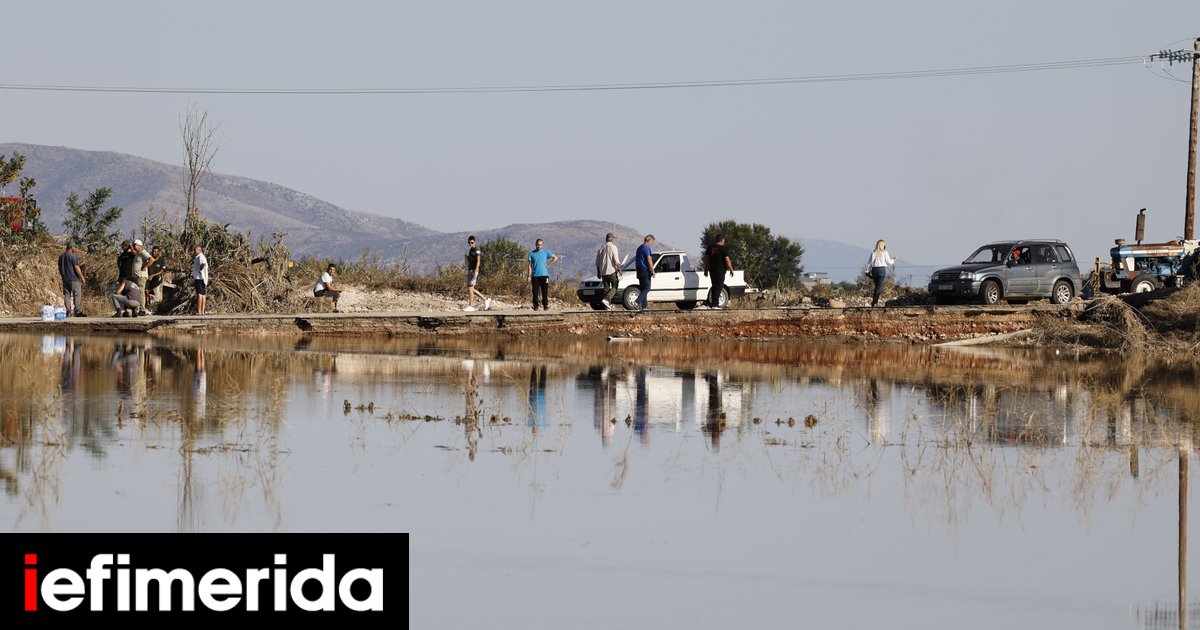 Λέκκας για κακοκαιρία Elias: Δεν εκτιμώ ότι θα έχουμε πλημμύρες, όμως ...