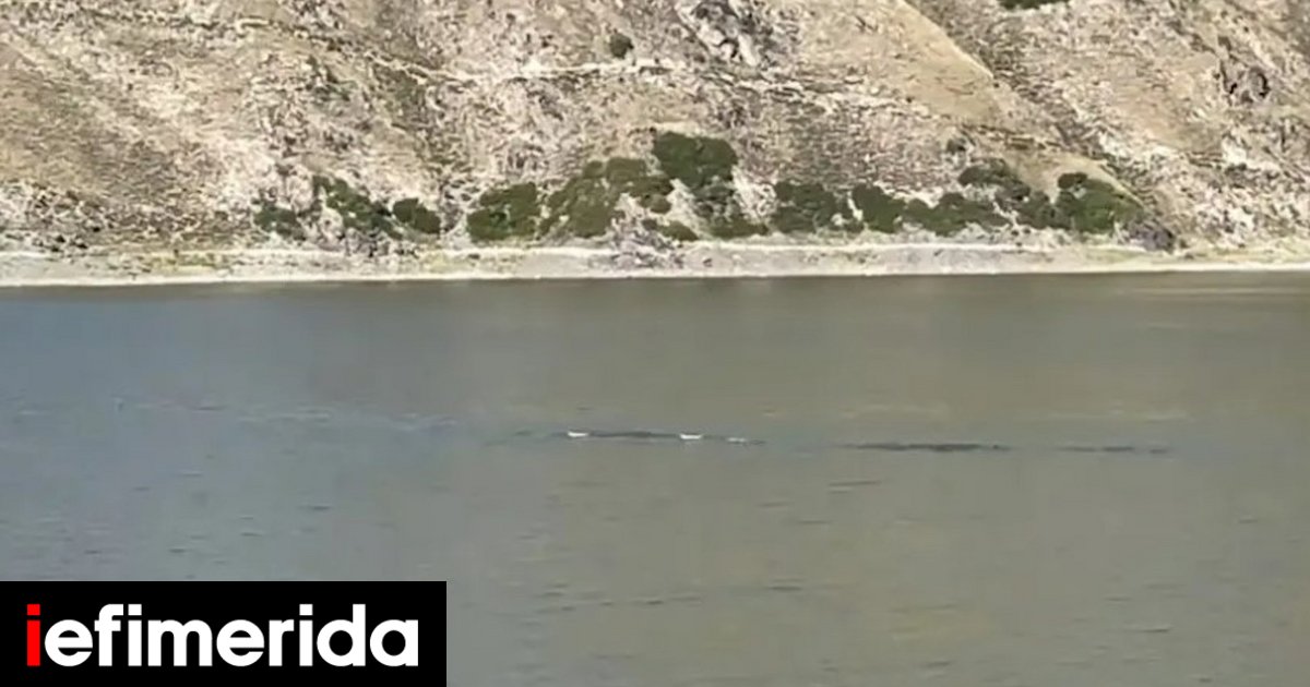Μυστηριώδες πλάσμα σε λίμνη στην Κίνα- Η ασιατική εκδοχή του τέρατος ...