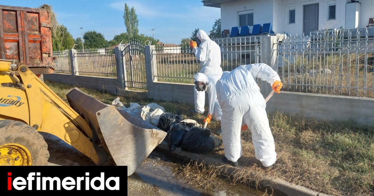 Ξεκίνησε η περισυλλογή των νεκρών ζώων στη Θεσσαλία -Άνοιξε το ...
