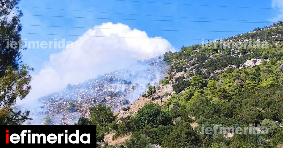 Συναγερμός για φωτιά στη Νέα Μάκρη -Επιχειρούν επίγειες και εναέριες ...