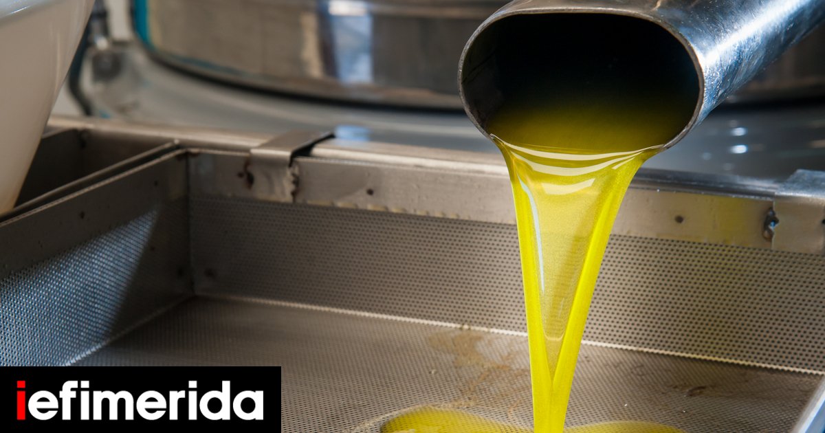 Χαλκιδική: Έκλεψαν 37 τόνους ελαιόλαδο από συνεταιρισμό, άφησαν άδεια ...