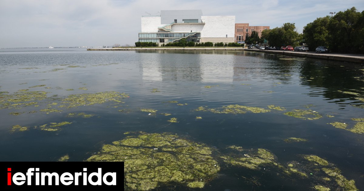 Υπογράφηκε η νέα σύμβαση για τον επιφανειακό καθαρισμό του Θερμαϊκού ...