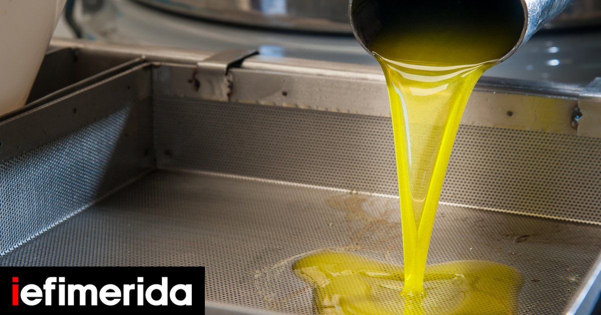 Ελαιόλαδο: Μειωμένη 40% η τιμή παραγωγού -Πόσο φτάνει στο ράφι ...