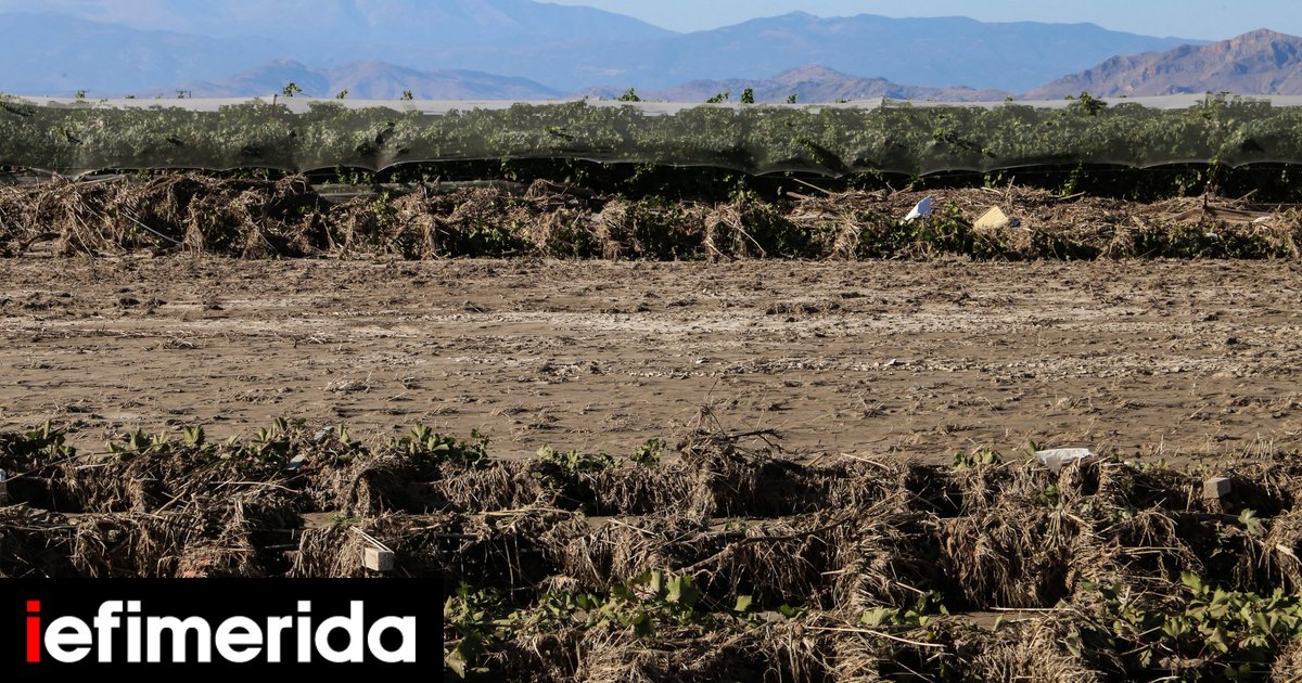 ΕΕ: Ενέκρινε κρατικές ενισχύσεις 80 εκατ. ευρώ για τις φυσικές ...