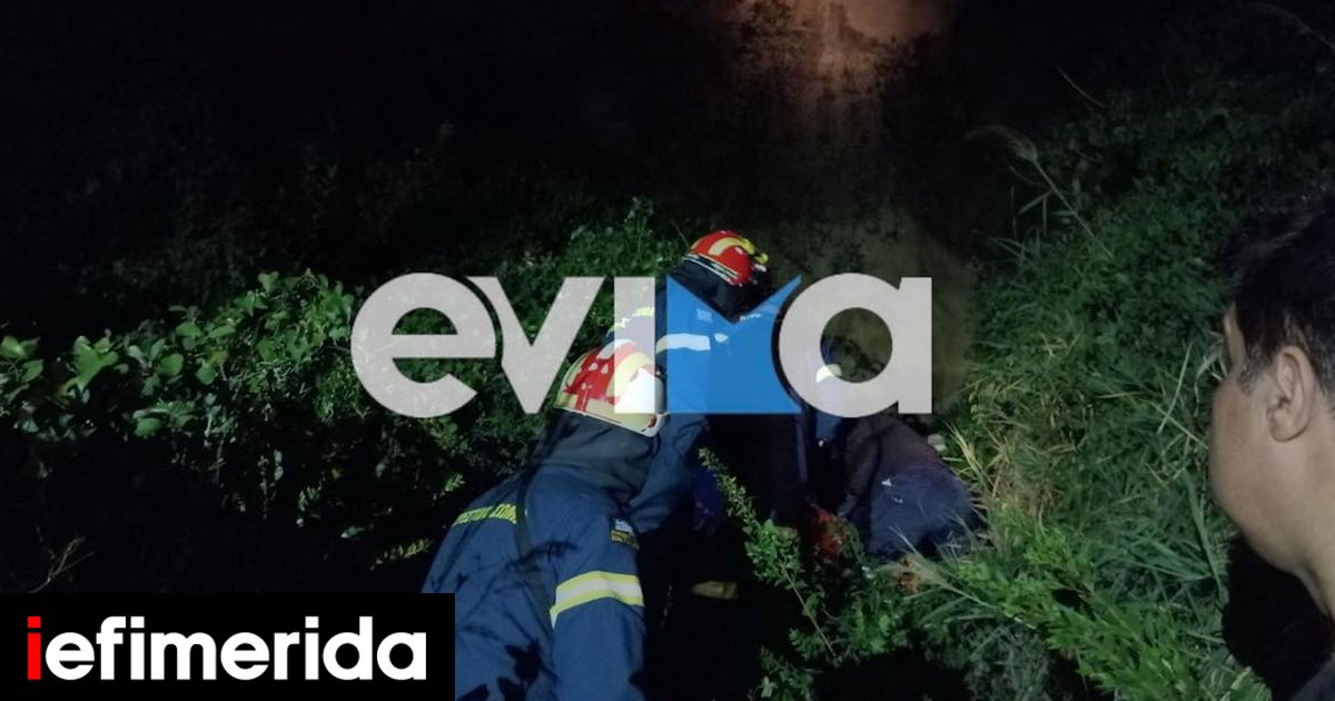 Εύβοια: Συναγερμός για ηλικιωμένη που έπεσε σε χαράδρα ύψους 15 μέτρων [εικόνες] - iefimerida.gr