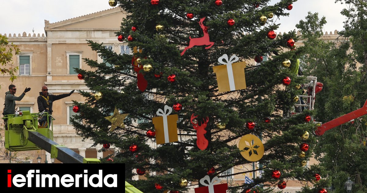 Ανάβει την Πέμπτη το χριστουγεννιάτικο δέντρο στο Σύνταγμα - iefimerida.gr