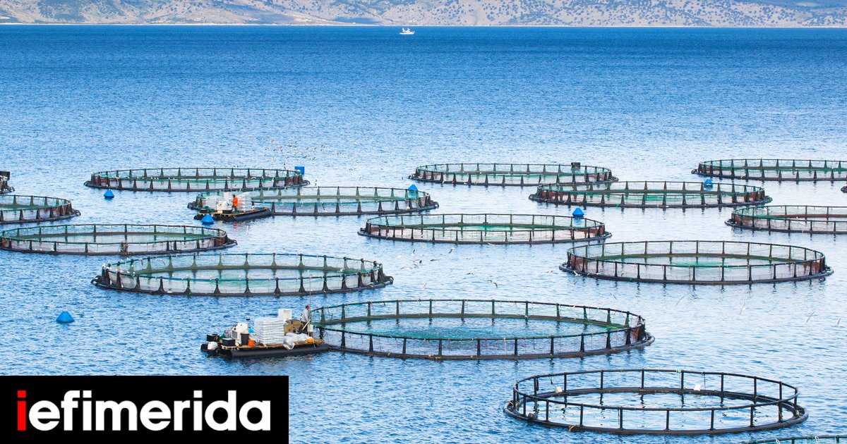 «Όχι» της Ελλάδας στην πρόταση του βασικού κανονισμού για τις ...