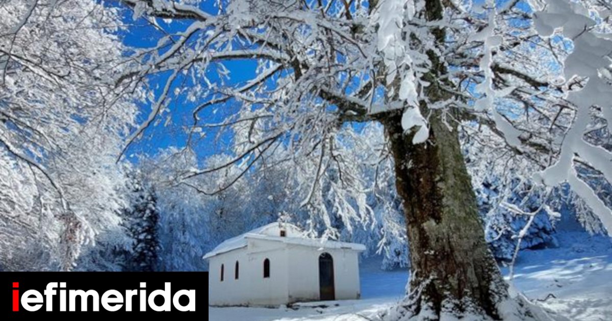 Μαγικό τοπίο το χιονισμένο δάσος της Οξυάς, χριστουγεννιάτικος πίνακας ...