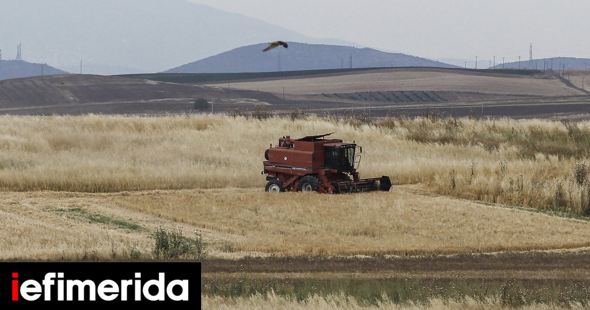 ΕΛΓΟ-ΔΗΜΗΤΡΑ: Ξεκινά στις 22 Απριλίου η εγγραφή νέων Μελών στο Μητρώο ...