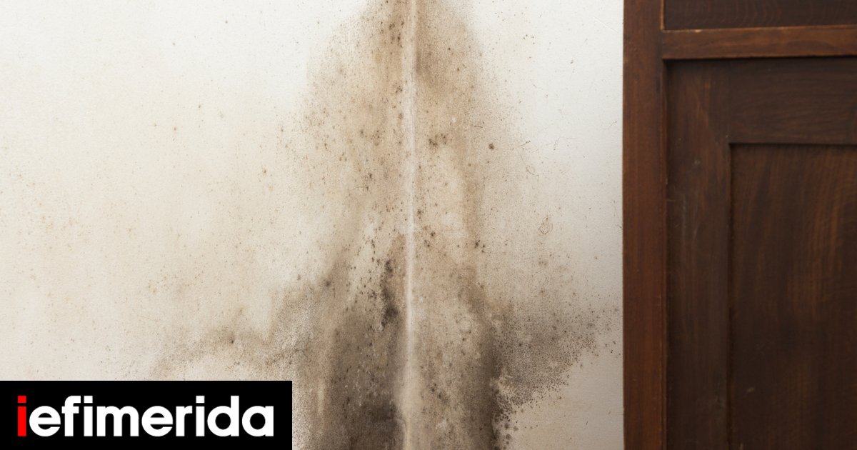 Μούχλα στους τοίχους και στο ταβάνι του σπιτιού σας; O τρόπος να ...