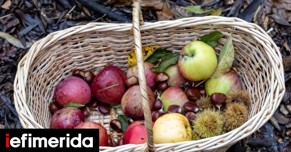 Θεσσαλία: Σχέδιο για νέα κατοχύρωση αγροτικών προϊόντων ΠΟΠ, τα πιο ...