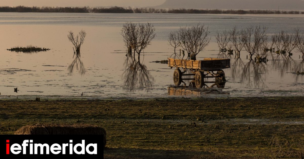 Λίμνη Κάρλα: Επτά μήνες μετά την κακοκαιρία «Daniel» τα νερά δεν έχουν ...