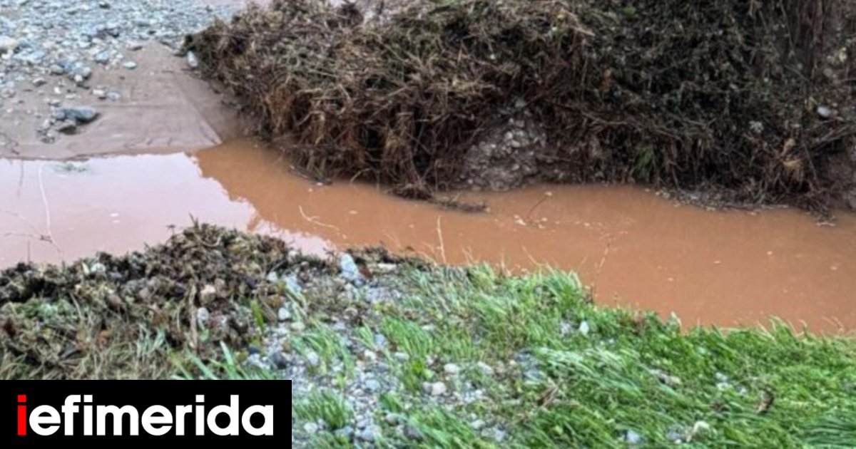 Πιερία: Ξεκινούν άμεσα οι εκτιμήσεις ΕΛΓΑ και ΔΑΟΚ για την στήριξη των ...